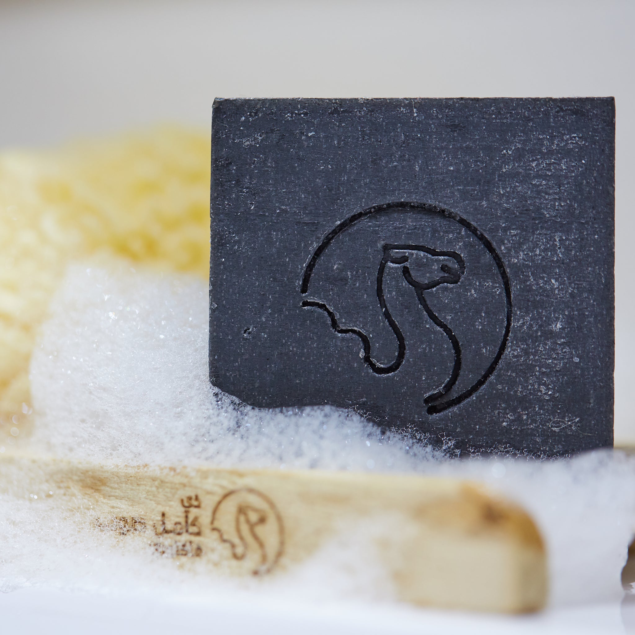 PARCELLES D’HISTOIRE – Nuqa